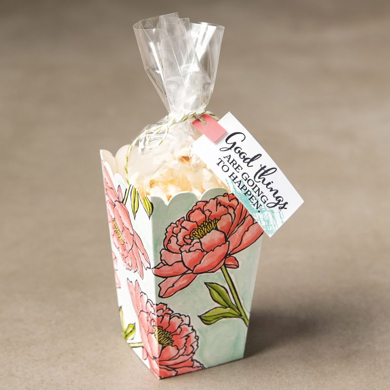 Popcorn Box and More! - Lisa's Stamp Studio