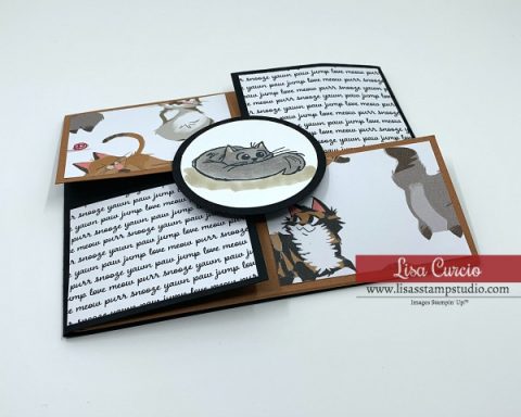 A Quarter Fold Card Tutorial You Can Make in Easy Steps | Fun Fold Card