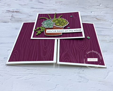 How to Make a Slide and Lock Fun Fold Card That Will Be Impressive