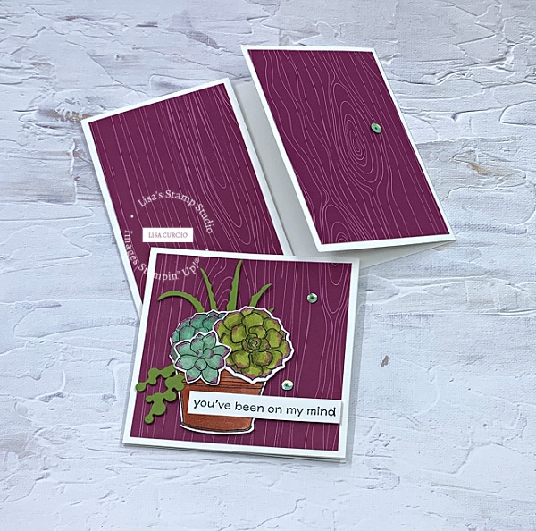 How to Make a Slide and Lock Fun Fold Card That Will Be Impressive