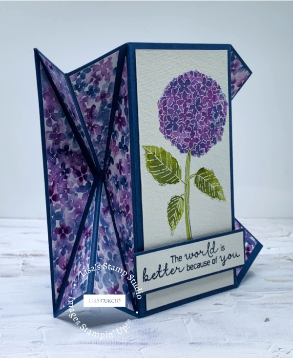 Double Fan Fold Card Tutorial That is Celebrity Worthy