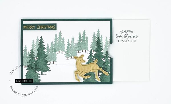 How to Make 4 Beautiful Interactive DIY Slider Cards - Lisa's Stamp Studio