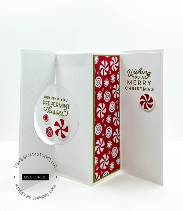 DIY Handmade Pop Out Swing Card Tutorial - Lisa's Stamp Studio