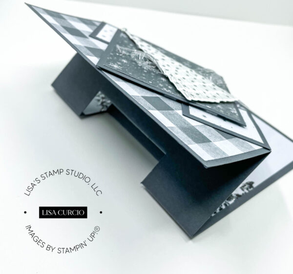 Pop Up and Pull Out! This Fun Fold Card is a Show Stopper! - Lisa's ...