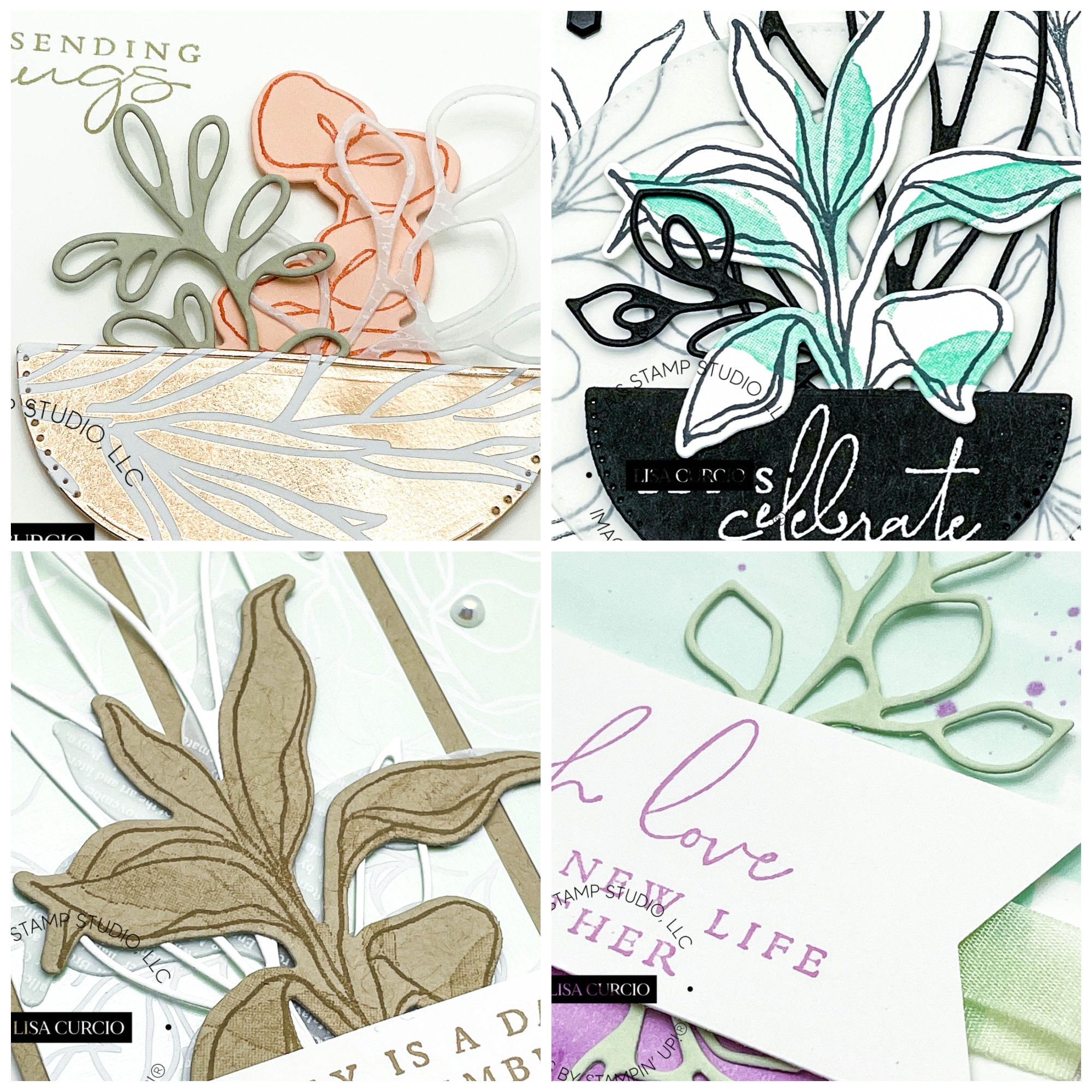 Splendid Thoughts - Lisa's Stamp Studio