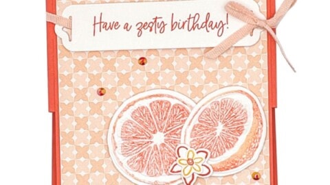 Have Fun Making a Tri-Fold Accordion Card With These Easy Steps - Lisa's Stamp Studio