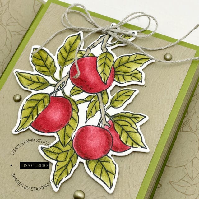 Expand Your Card Making to Create an Accordion Center Panel Card