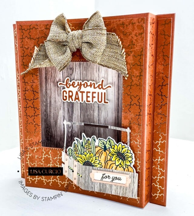 Create an Easy Die Cut Holiday Shadow Box Card - Lisa's Stamp Studio
